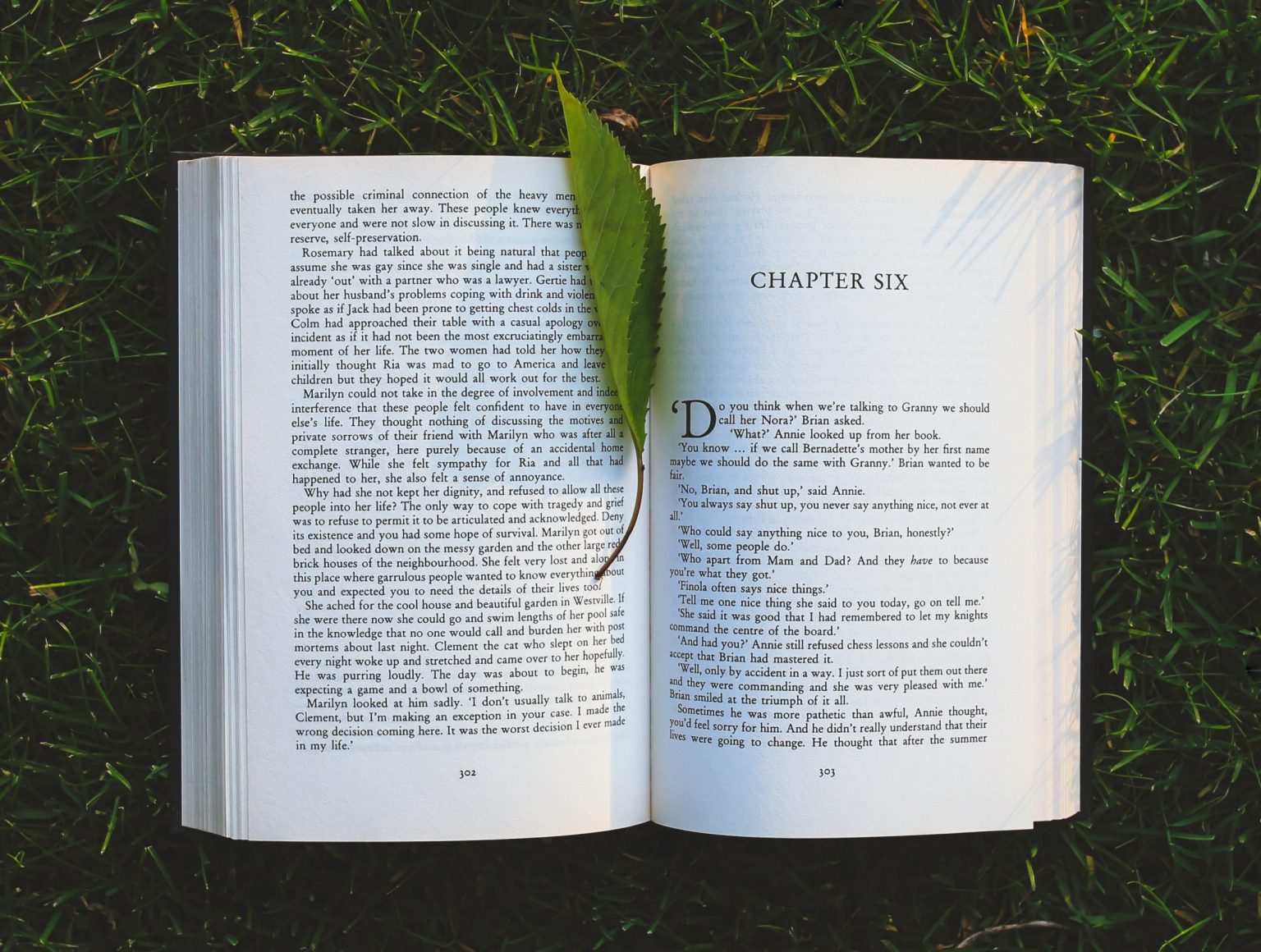 Luminare Press - Self-Publishing Services. Real Books. Real Help.